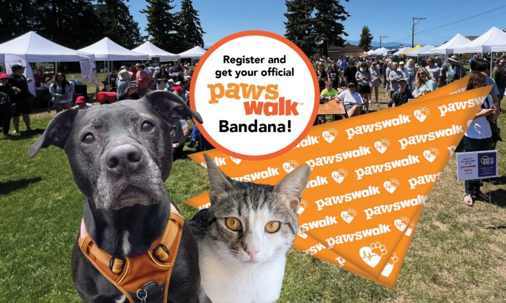 Join the Movement to Help Animals in Need with PAWSwalk