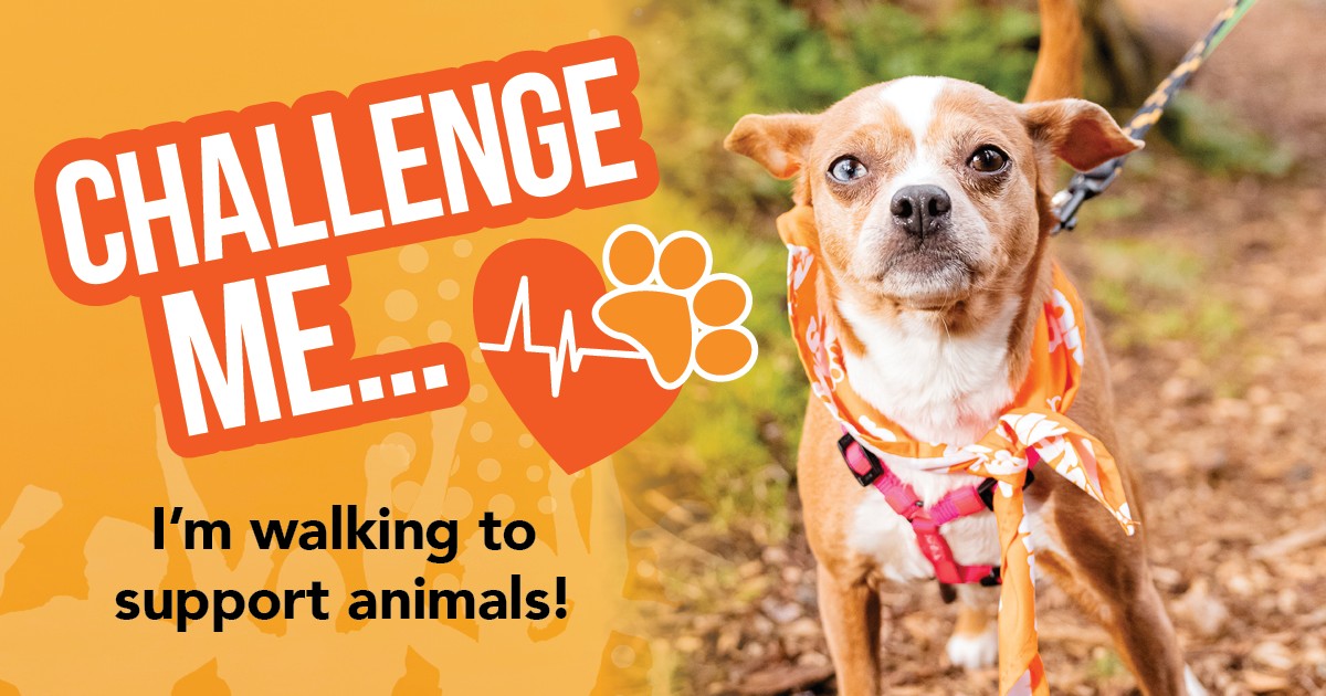 Challenge Me to Walk for Animals!