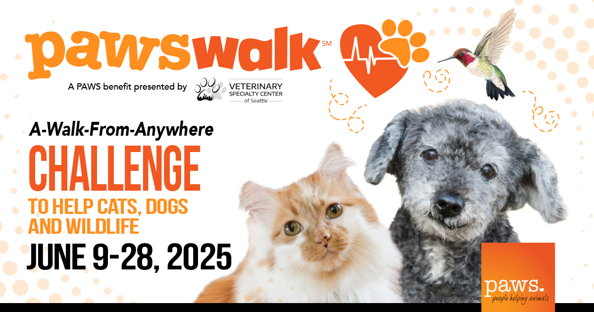 Join the Movement to Help Animals in Need with PAWSwalk